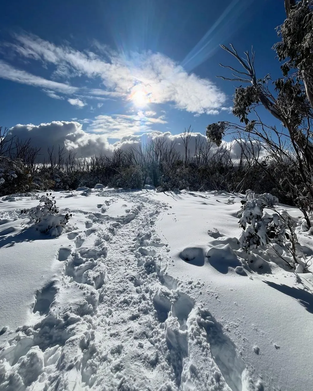 When Does It Snow in Victoria?